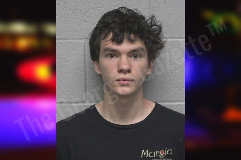 Logan Medina — Forsyth County Jail Bookings