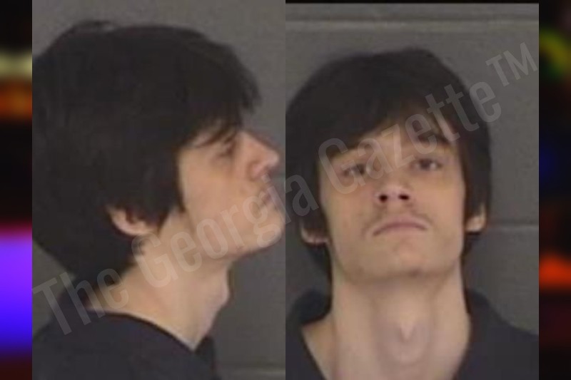 Gavin Michiels — Barrow County Jail Bookings