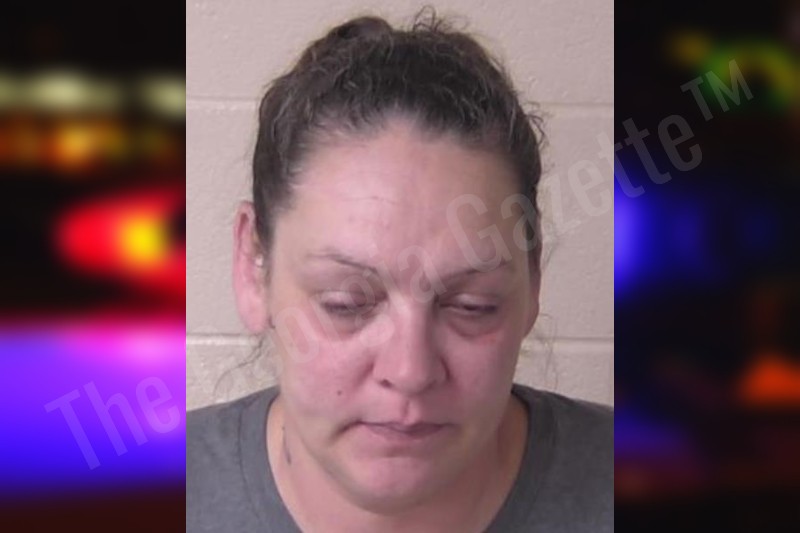 Renae Miller — Walker County Jail Bookings