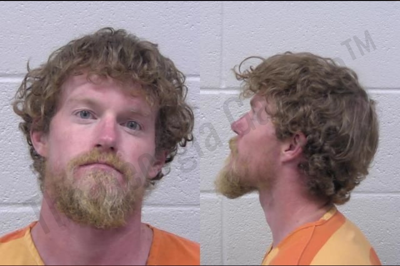 Joshua Mitchell — Paulding County Jail Bookings