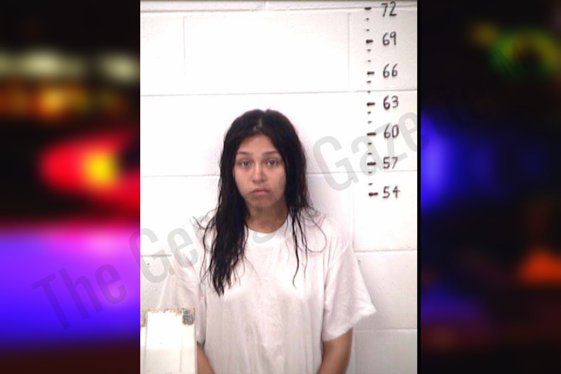 Destany Mobley — Emanuel County Jail Bookings