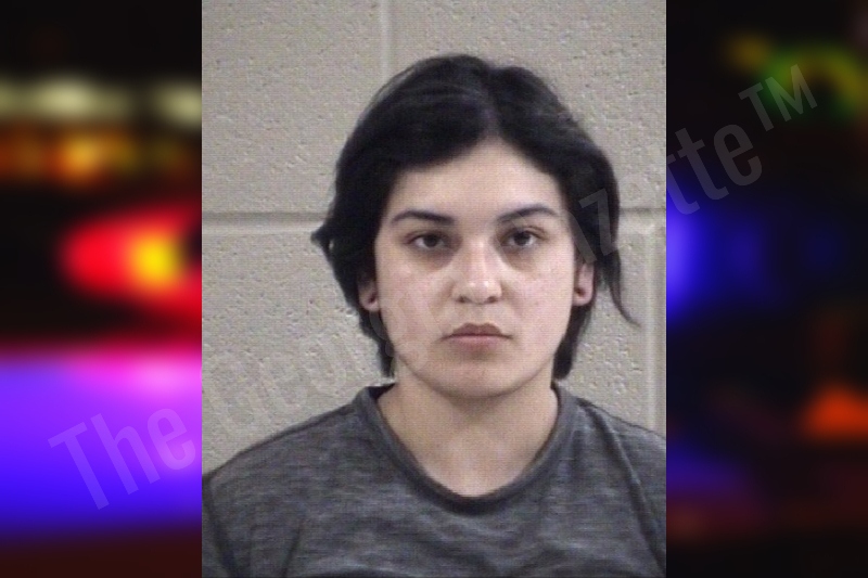 Ariel Morales — Whitfield County Jail Bookings