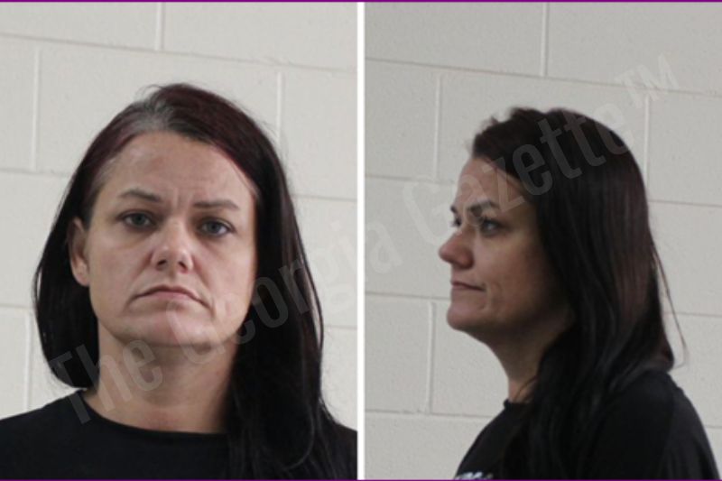 Ashley Nicholson — Houston County Jail Bookings
