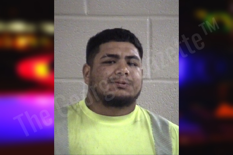 Arron Orta — Whitfield County Jail Bookings