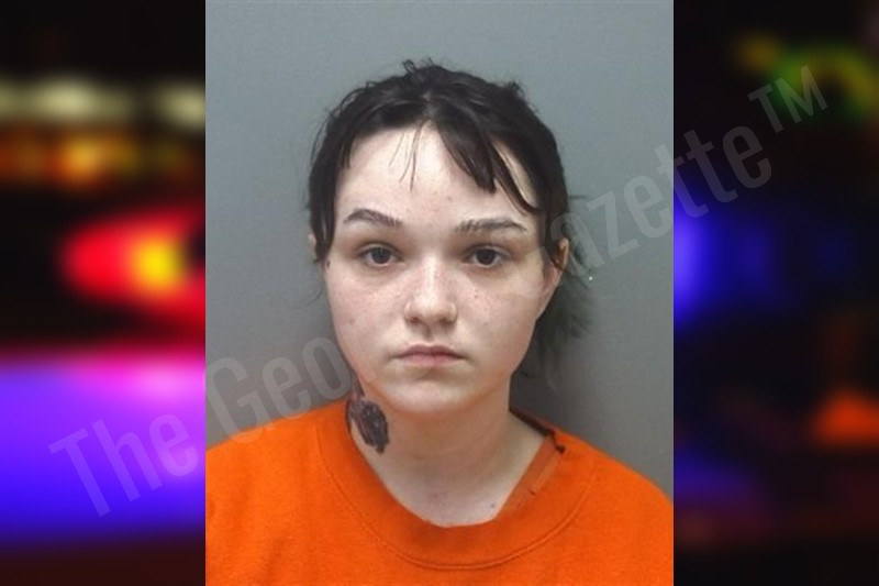 Briannah Painter — Cherokee County Jail Bookings