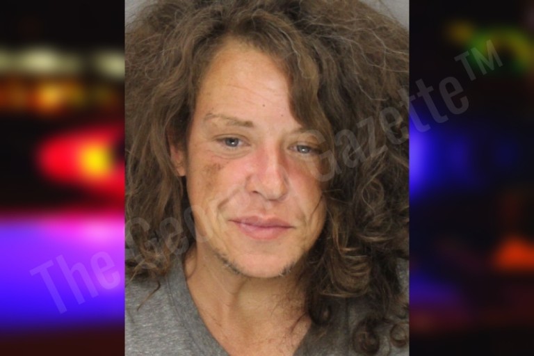 Elizabeth Pannell — Cobb County Jail Bookings