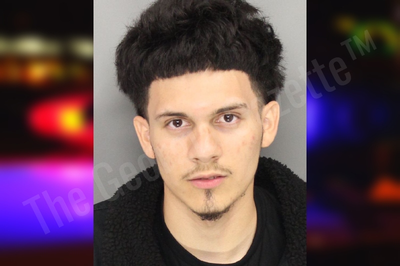 Austin Perez — Cobb County Jail Bookings