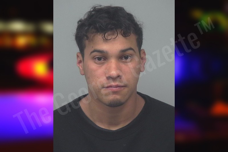 Carlos Pernia Rosario — Gwinnett County Jail Bookings