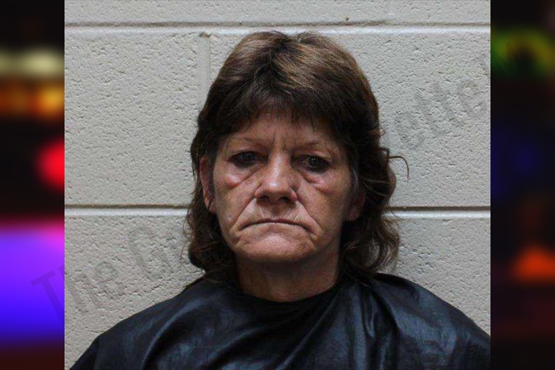 Lisa Pierce — Haralson County Jail Bookings
