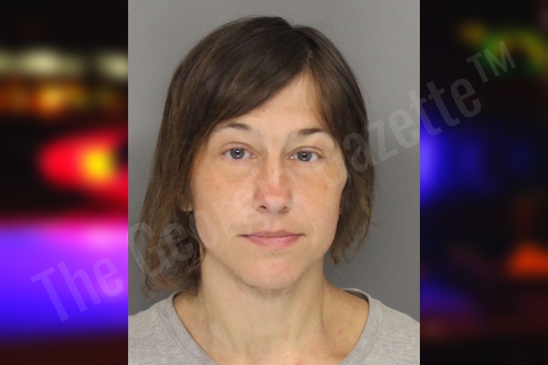 Sarah Pointer — Cobb County Jail Bookings