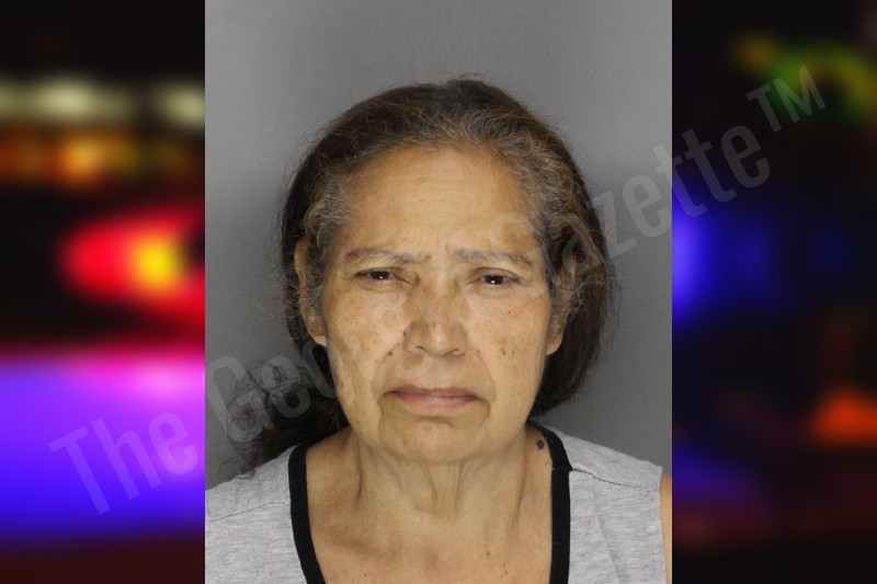 Maria Ponce — Cobb County Jail Bookings