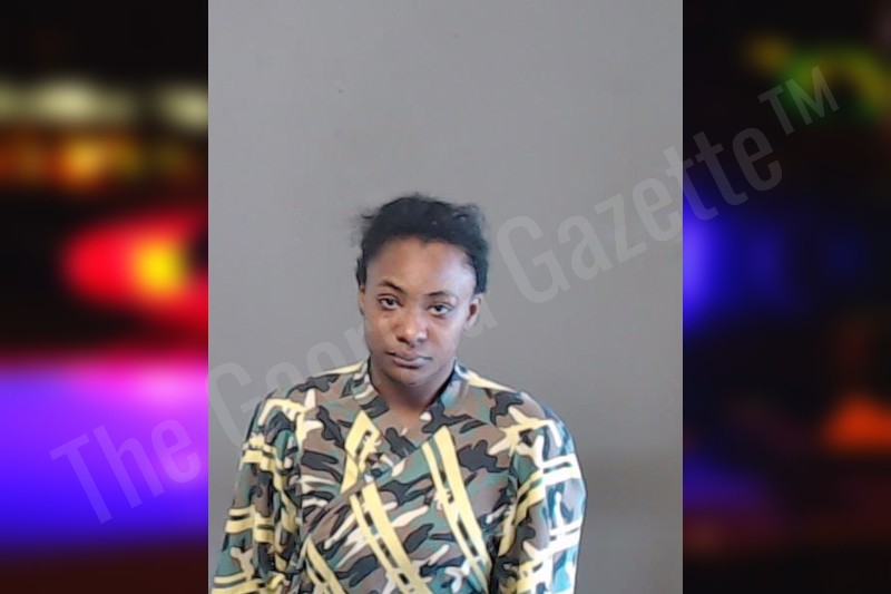 Amari Powell — DeKalb County Jail Bookings