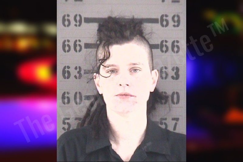 Patricia Pate — Dougherty County Jail Bookings