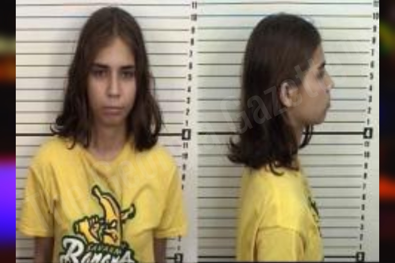 Shaylee Philipsheck — Camden County Jail Bookings