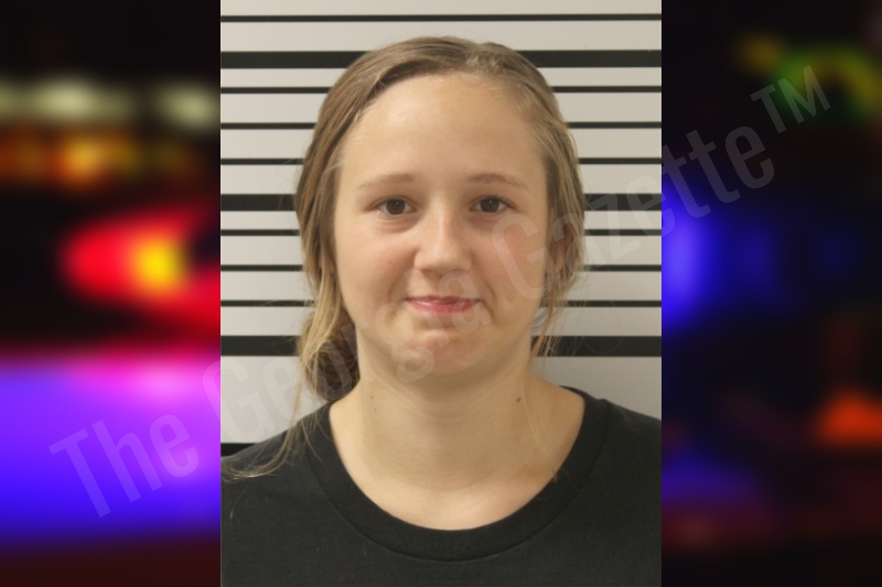 Baylie Ramsey — Toombs County Jail Bookings