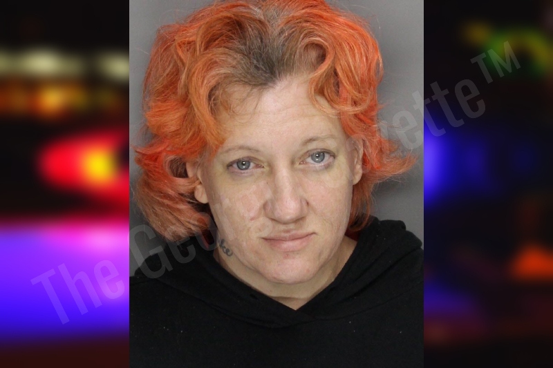 Jennifer Reese — Cobb County Jail Bookings