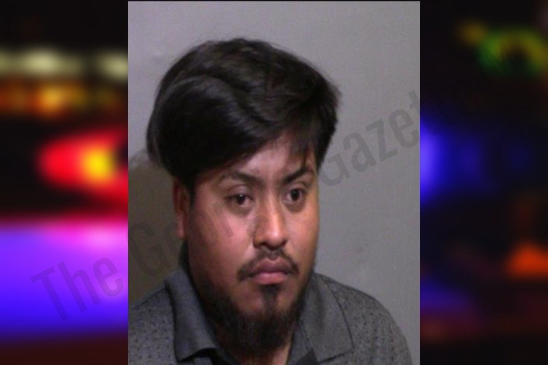 Dewis Ramirez-Vasquez — Glynn County Jail Bookings