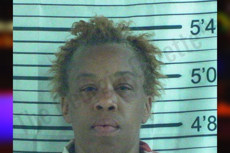 Erica Reese — Stephens County Jail Bookings