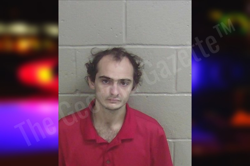 Logan Riddle — Wayne County Jail Bookings