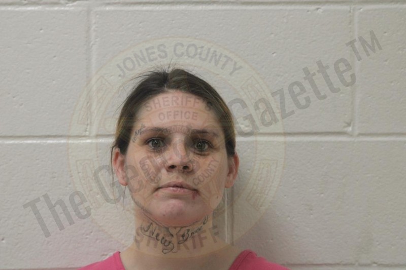 Jones County Jail Bookings – Page 2 – The Georgia Gazette