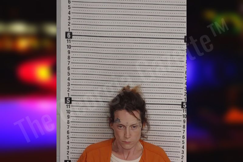 Stephanie Robinson — Rockdale County Jail Bookings