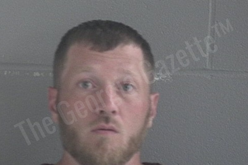 Ashton Rowell — Brantley County Jail Bookings