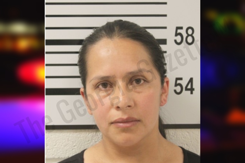 Maria Sanchez Hernandez — Toombs County Jail Bookings