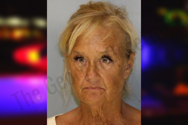 Robin South — Hall County Jail Bookings