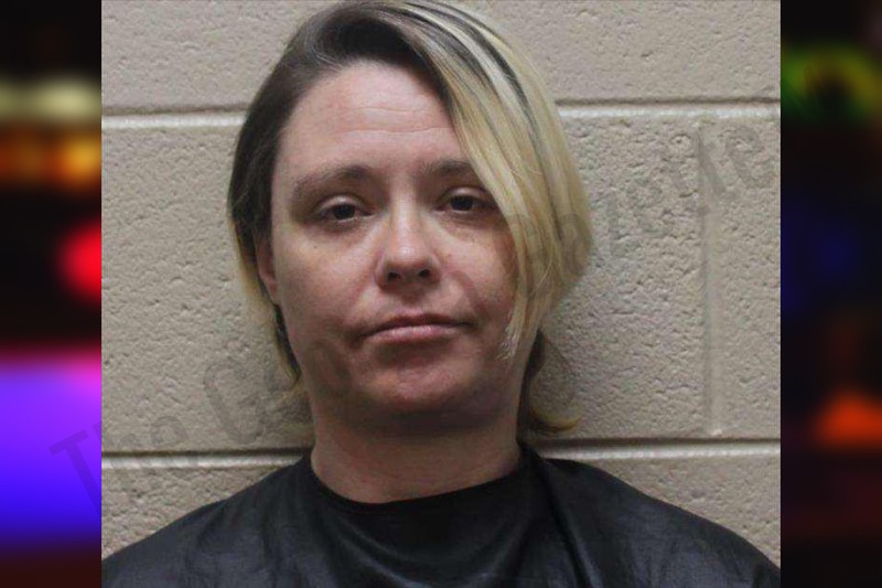 Shanna Spicer — Haralson County Jail Bookings