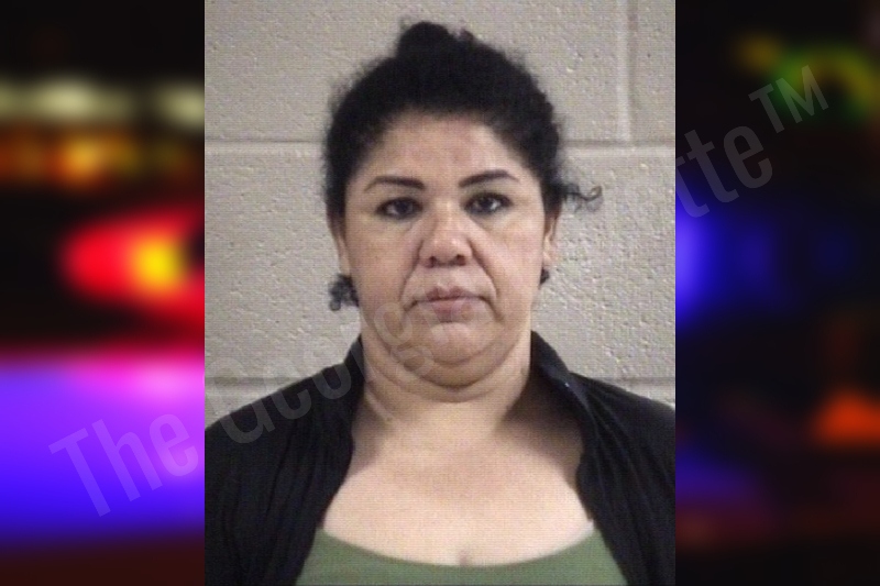 Araceli Sanchez-Carrillo — Whitfield County Jail Bookings