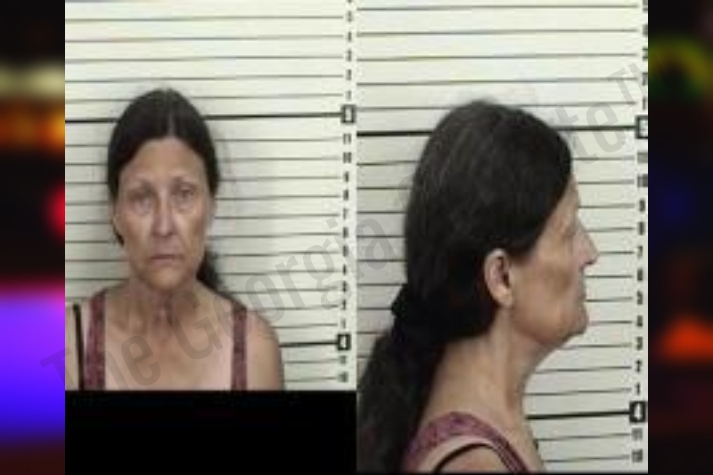 Robin Shelton — Camden County Jail Bookings