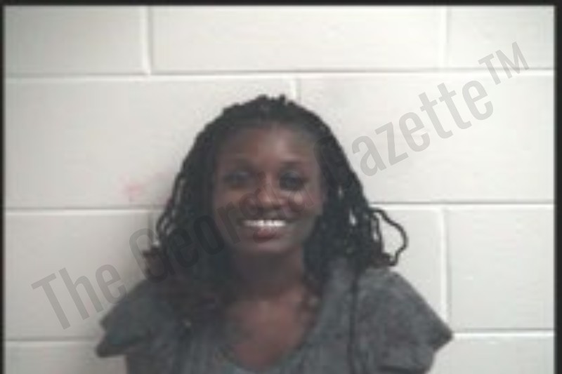 Elise Simmons — Henry County Jail Bookings