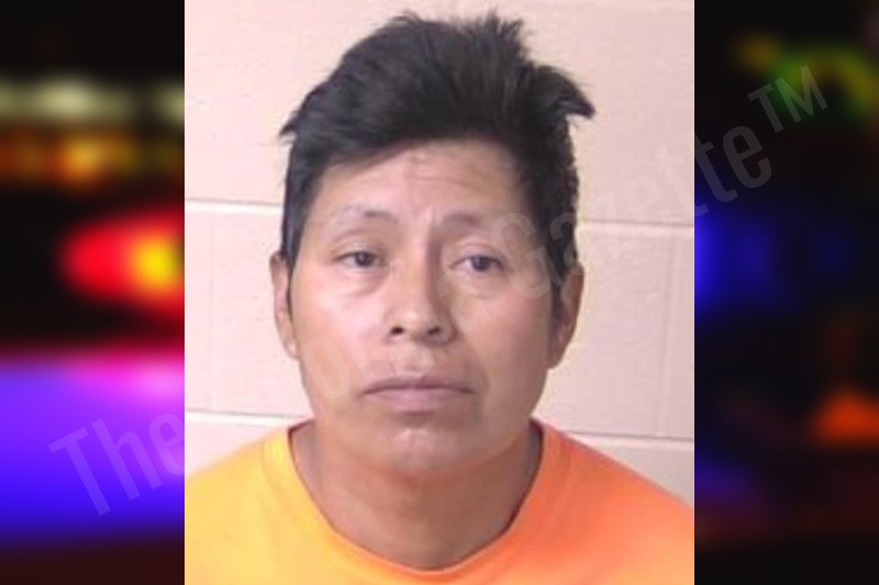 Mario Simon-Jeronimo — Walker County Jail Bookings