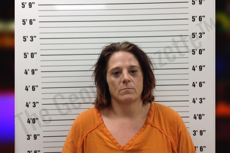Mindy Skelton — Pickens County Jail Bookings