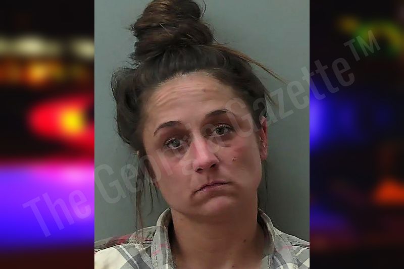 Emily Smith — Towns County Jail Bookings