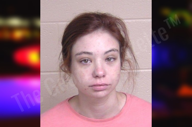 Jessica Smith — Walker County Jail Bookings