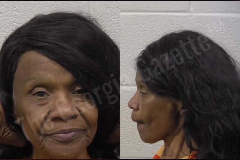 Vera Smith — Paulding County Jail Bookings