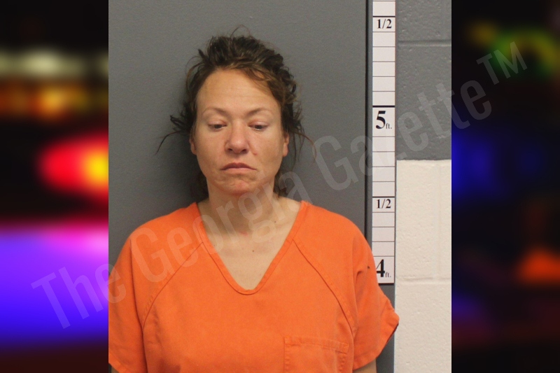 Jennifer Story — Lumpkin County Jail Bookings