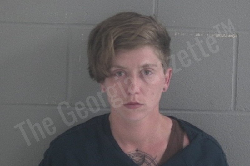 Kayla Swilley — Brantley County Jail Bookings