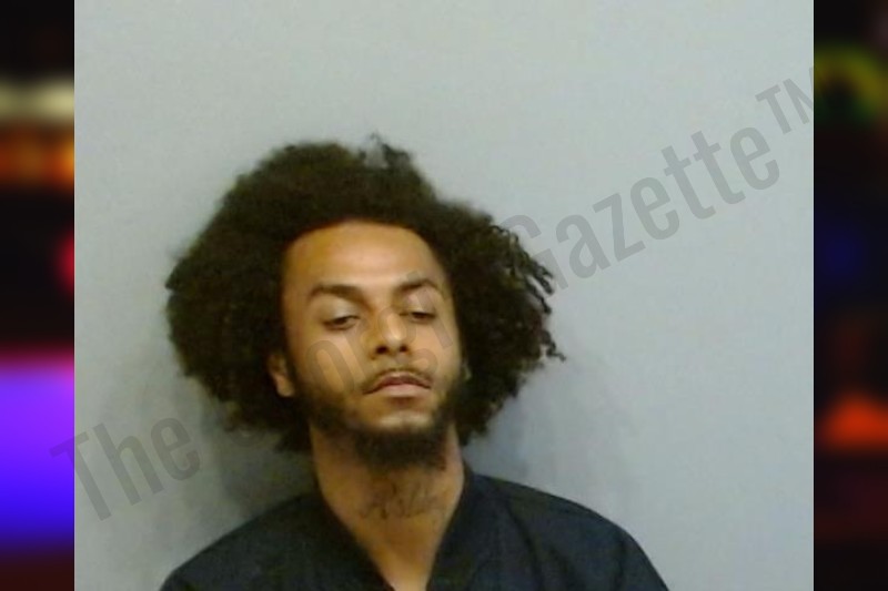 Ashton Thompson — Fulton County Jail Bookings