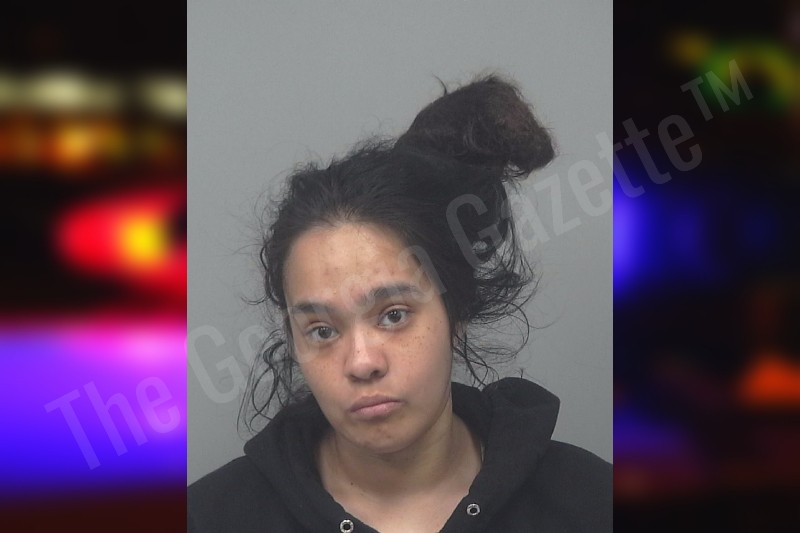 Nancy Torres — Gwinnett County Jail Bookings