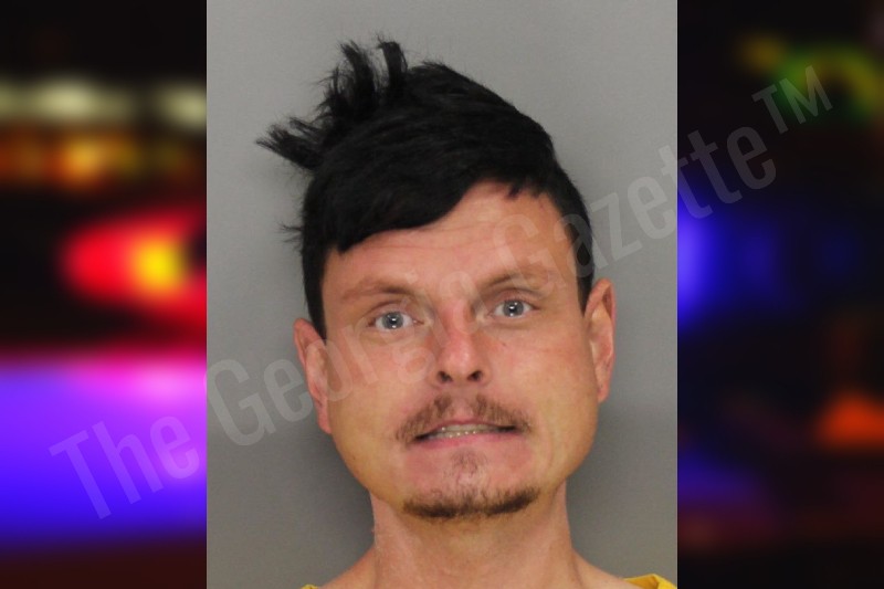 Brandon Tyler — Cobb County Jail Bookings
