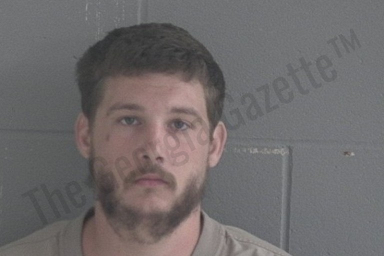 Michael Todd — Brantley County