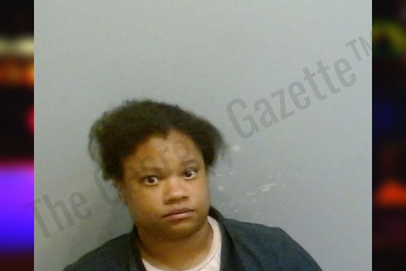 Haley Van-Heidrich — Fulton County Jail Bookings