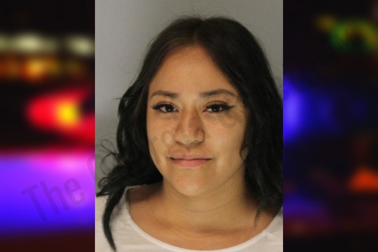 Hall County Jail Bookings – The Georgia Gazette