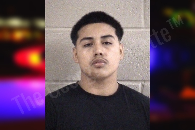 Angel Vega — Whitfield County Jail Bookings