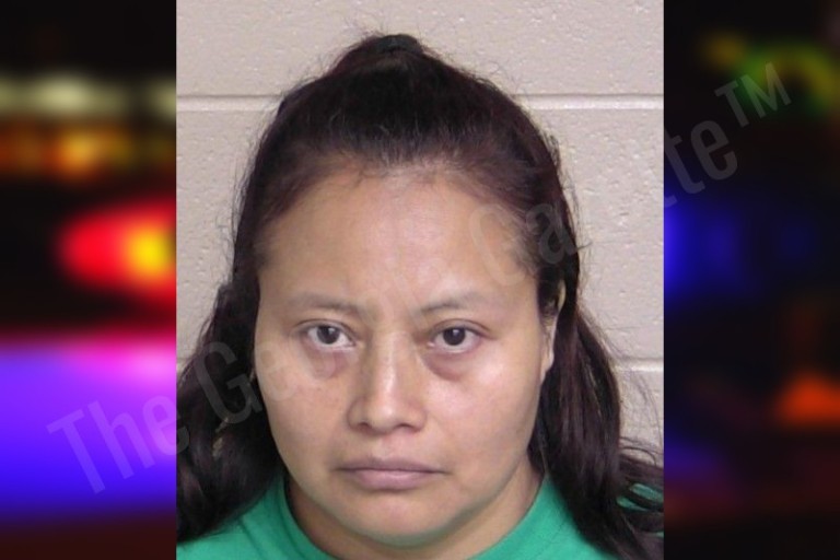 Maria Velasquez — Walker County Jail Bookings