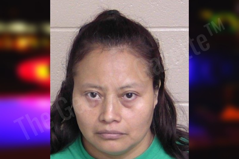 Maria Velasquez — Walker County Jail Bookings