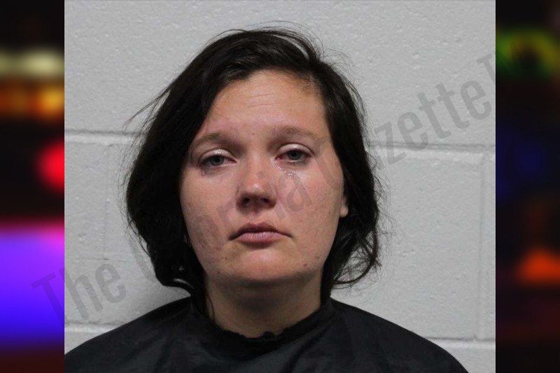 Cheyanne Wheeler — Habersham County Jail Bookings