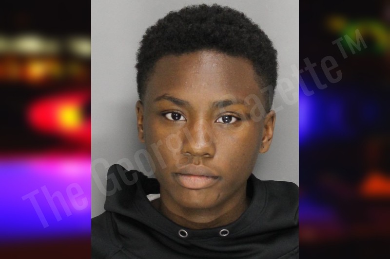 Harmanie Williams — Cobb County Jail Bookings